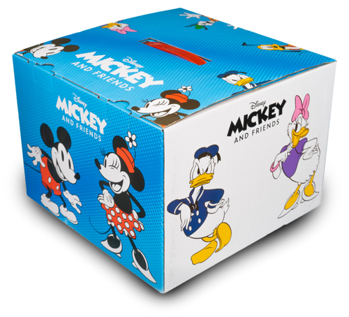 Mystery Boxes - Disney Boxes - Stylin Boxes