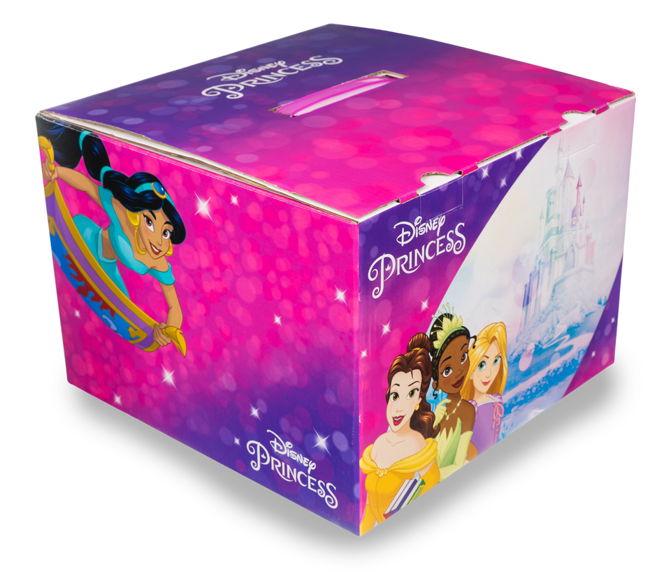 Mystery Boxes - Disney Boxes - Stylin Boxes