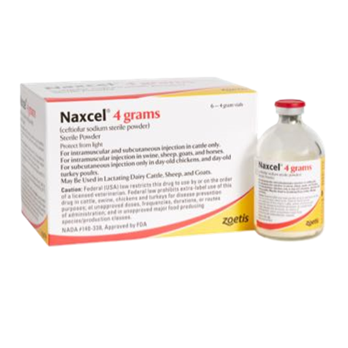 Naxcel (Ceftiofur Sodium) Sterile Powder, 4gm - NexGen Pharmaceuticals