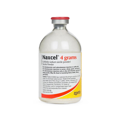 Naxcel (Ceftiofur Sodium) Sterile Powder, 4gm - NexGen Pharmaceuticals