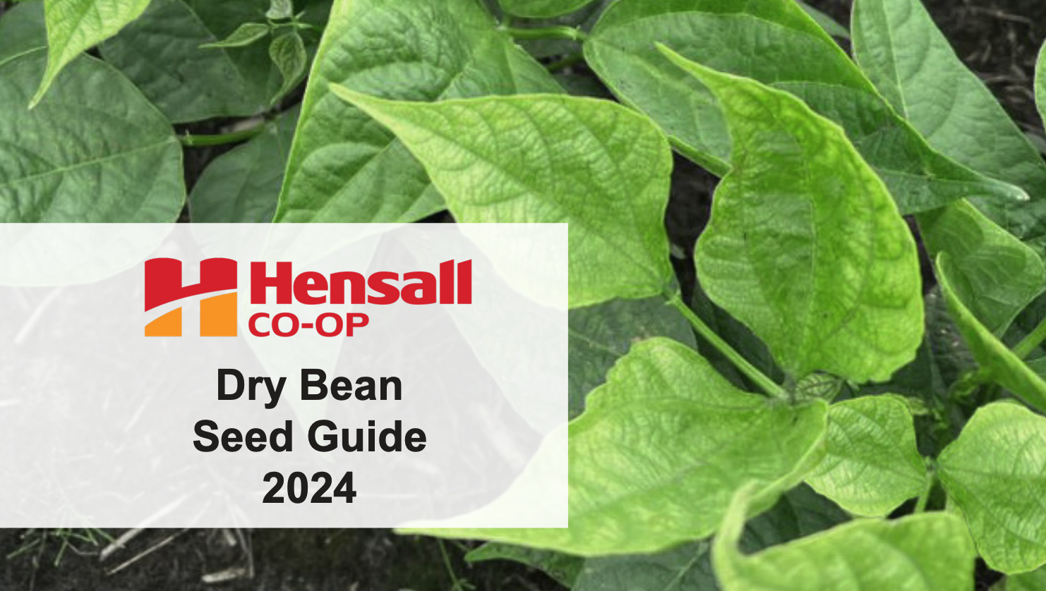 Dry Bean Geed Guide - Gentec