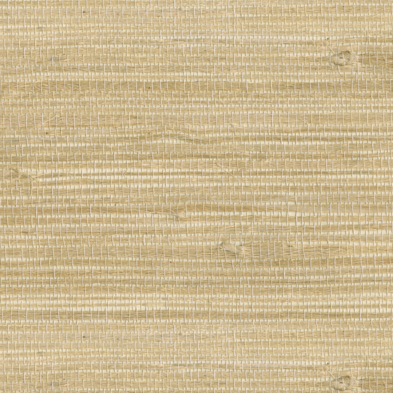 Myoki Wheat Grasscloth Wallpaper by Kenneth James Designer - Swanky Fabrics