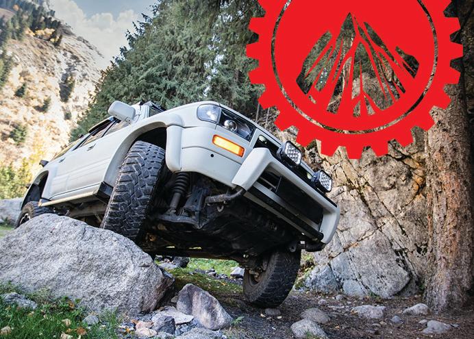 Control Arms Explained: The Backbone of Your Off-Road Setup - Freedom ...