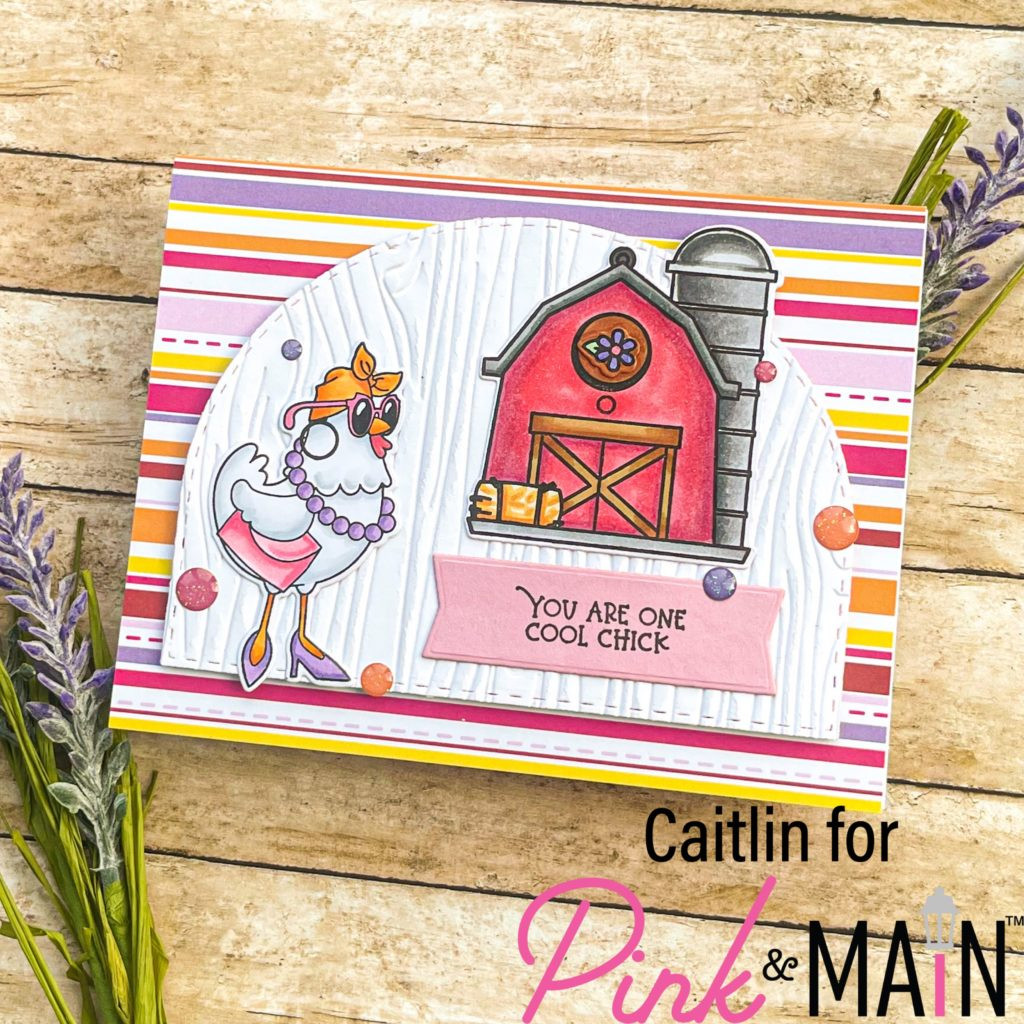 Woodgrain 6x6 Embossing Folder - Pink and Main LLC