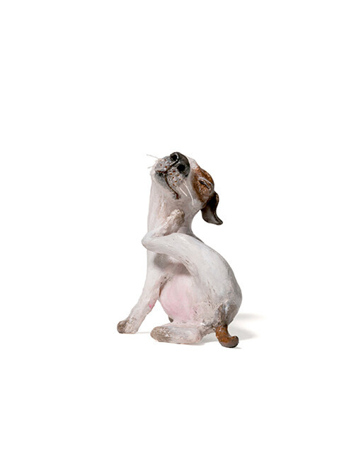 I Am a Dog - KJCstar