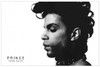 Prince Profile Profile With Dates Poster Poster Print - Item ...