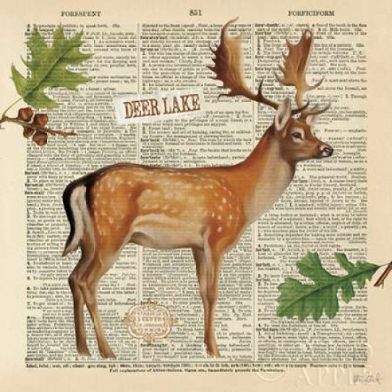 Lodge Collage III Poster Print by Katie Pertiet - Item # VARPDX24135 ...