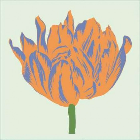 Soho Tulip III Poster Print by Zachary Alexander - Item # VARPDXCC3155 ...