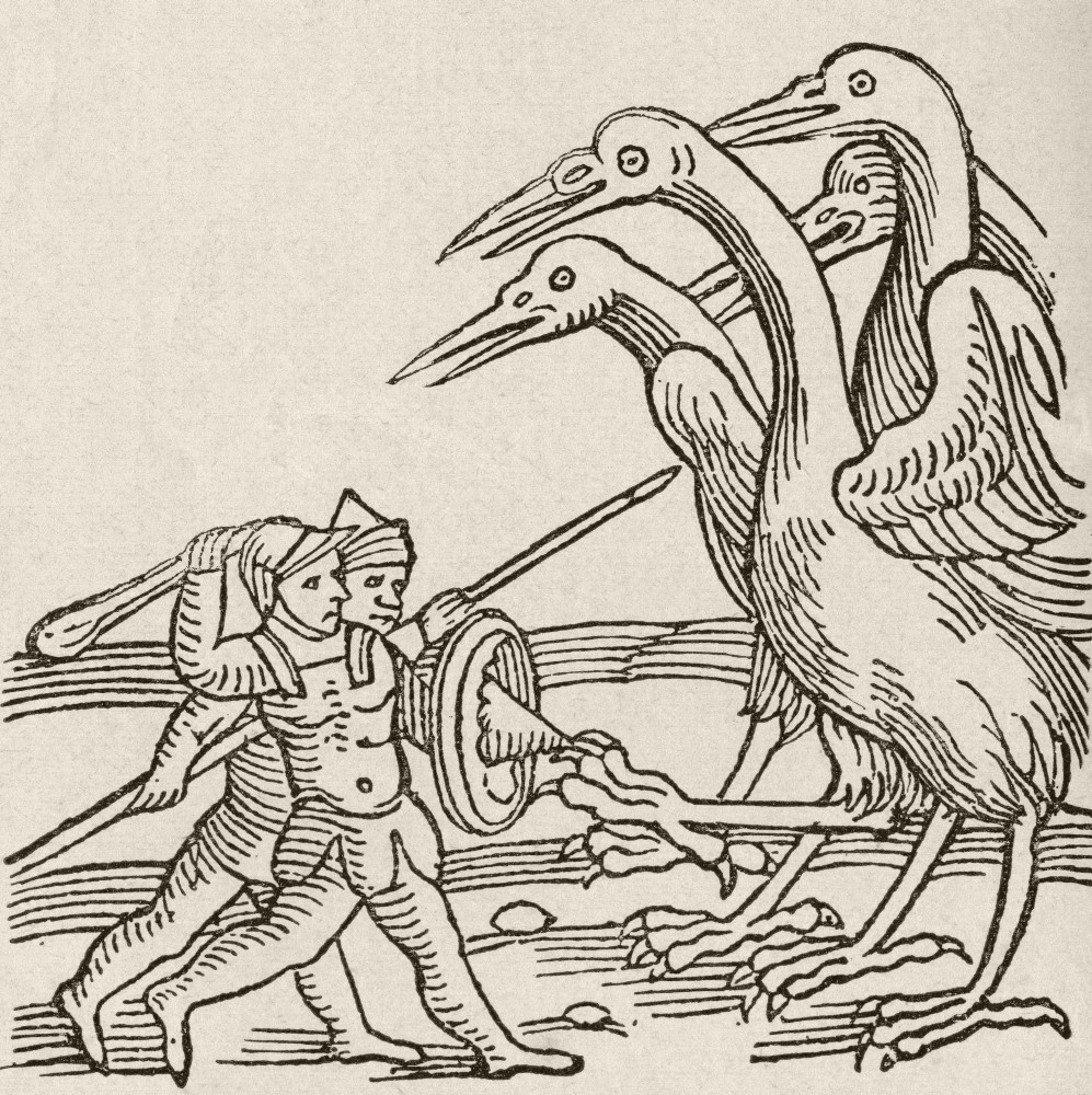 Fight between Pygmies and Cranes. A story from Greek mythology. From ...