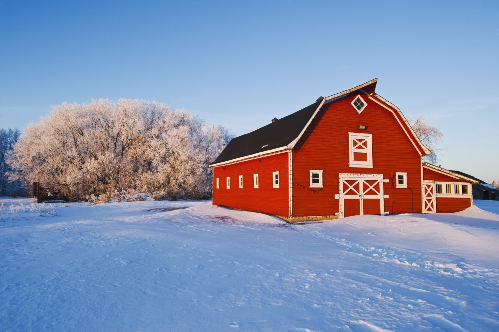 Red Barn In Winter