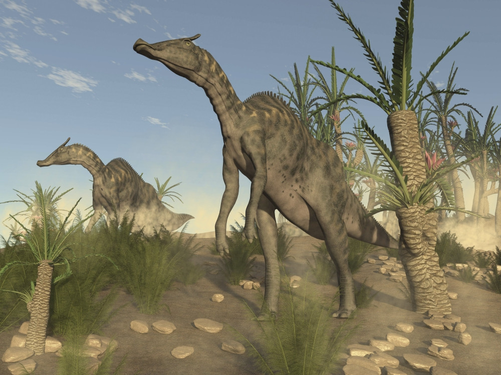 Two Saurolophus dinosaurs walking among onychiopsis and williamsonia ...