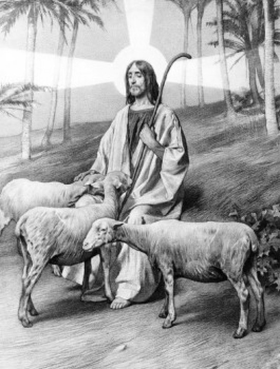 The Good Shepherd by Tito Lessi 1858-1917 Poster Print - Item ...