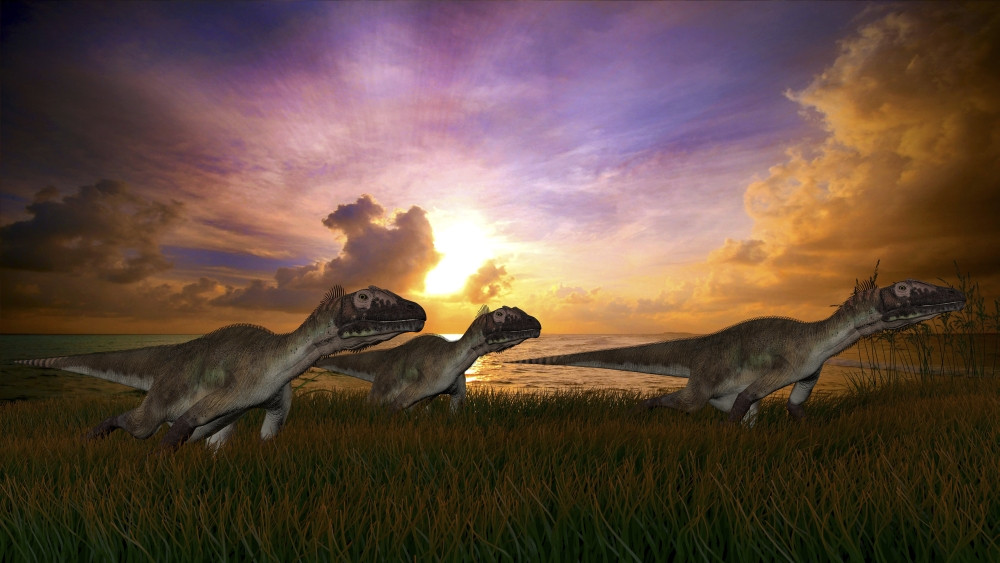 Three Utahraptors running across prehistoric grasslands at sunset ...