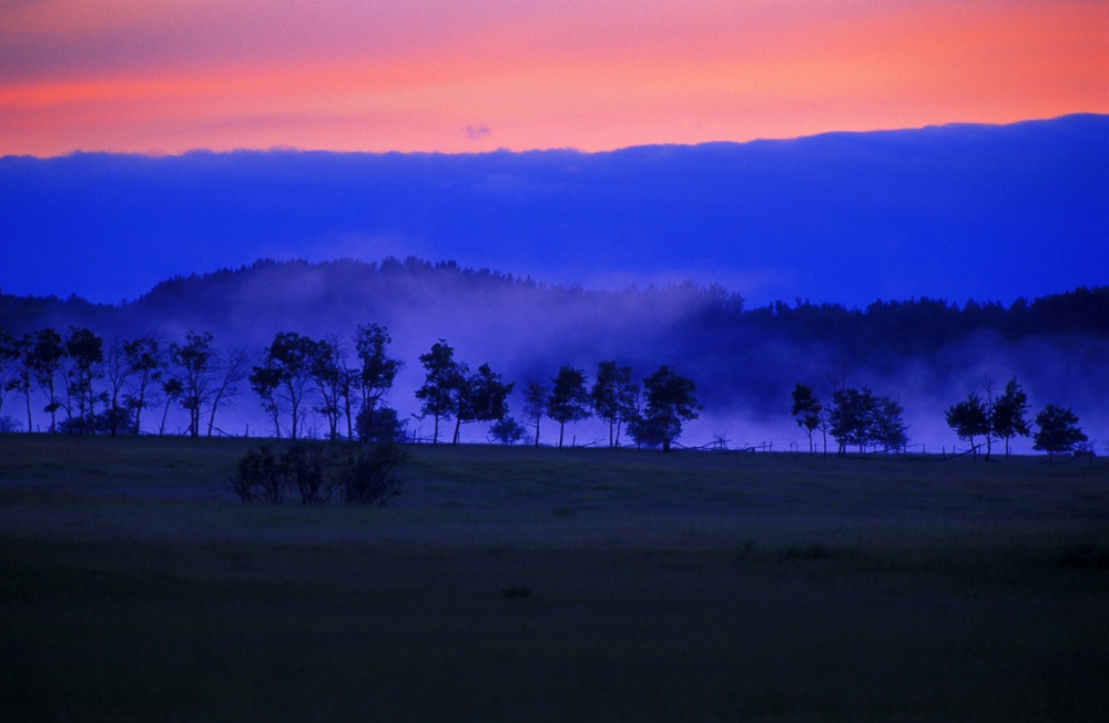 Sunrise Over Field With Trees PosterPrint - Item # VARDPI12912 - Posterazzi