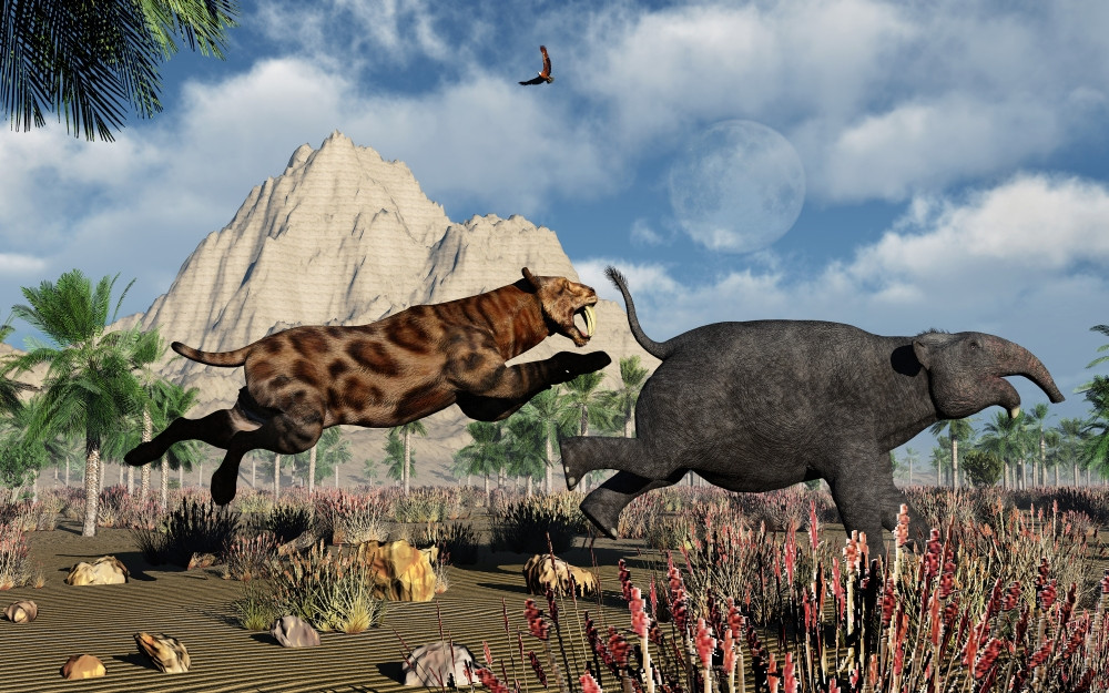 Pleistocene Epoch Plants