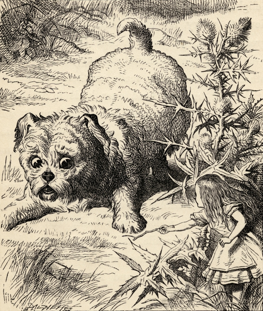 Alice Shrinks And Meets The Puppy Illustration By John Tenniel From The ...