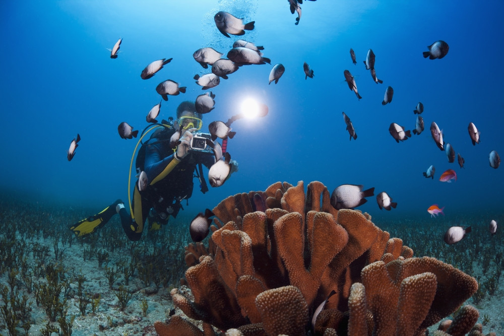 Hawaii, Maui, A photographer lines up on a group of Hawaiian domino ...