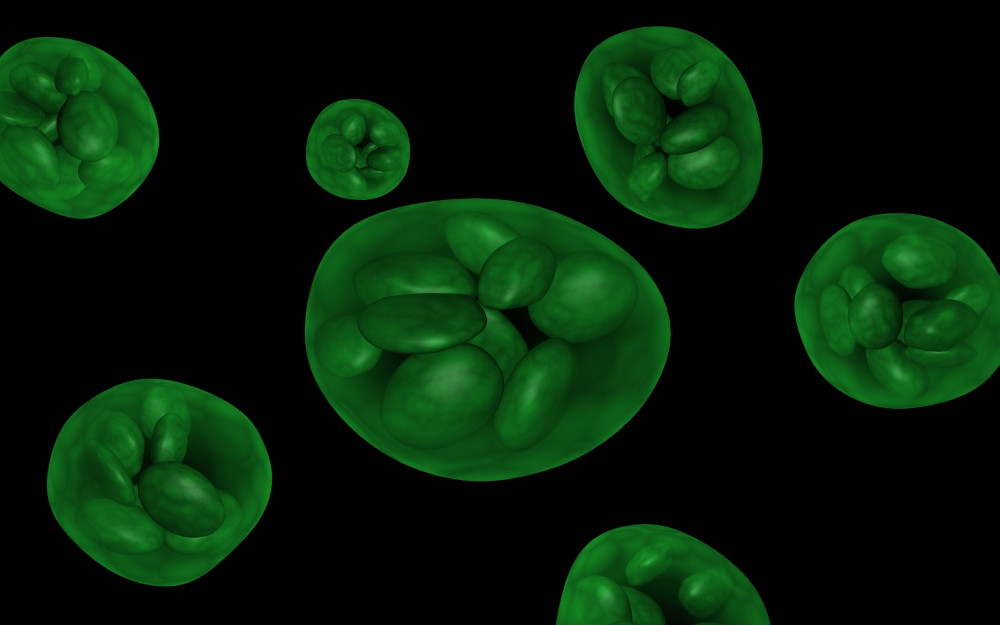 Conceptual image of chloroplast Poster Print - Item # VARPSTSTK700650H ...