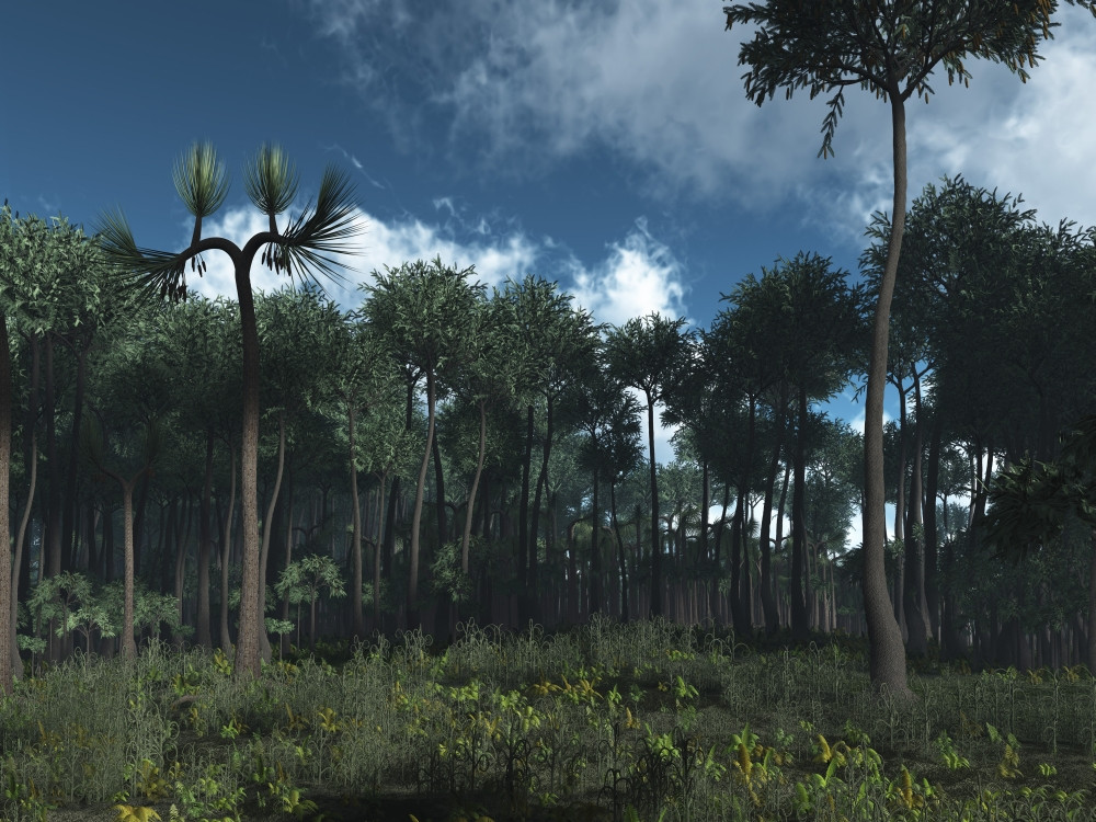 carboniferous forest