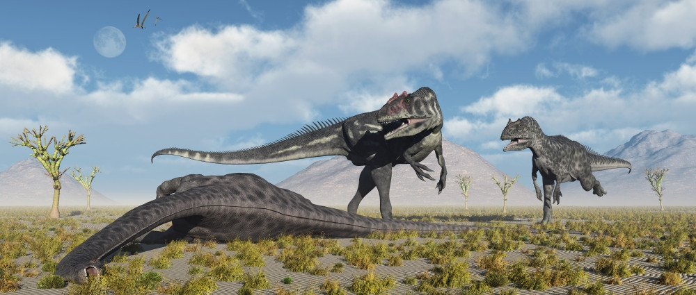 Dinosaur Carcass