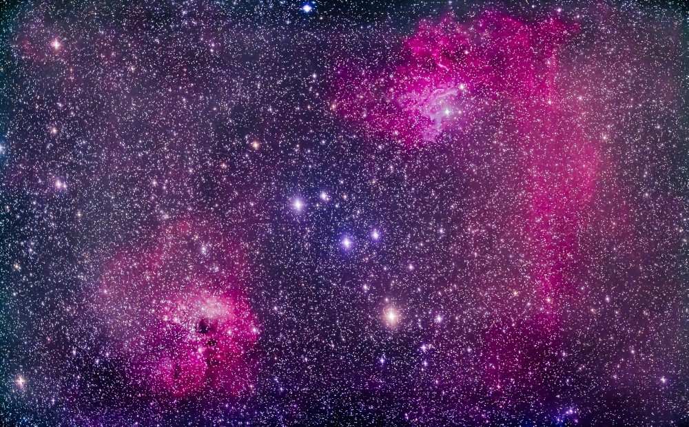 Nebula Monster Fish