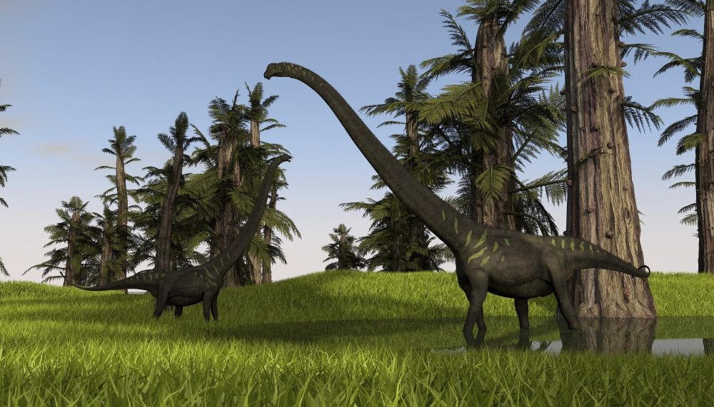 Two Mamenchisaurus in swampy water Poster Print - Item ...