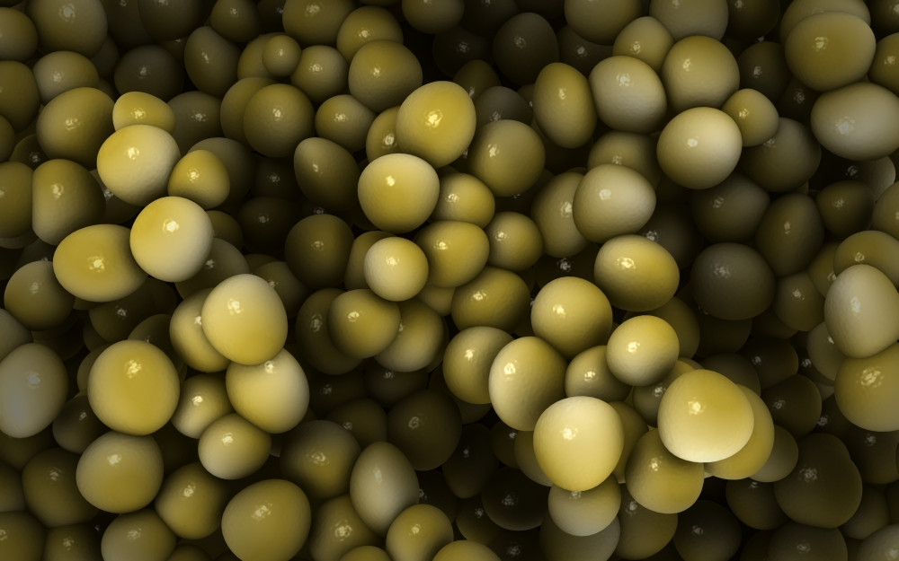 Microscopic view of staphylococcus Poster Print - Item ...