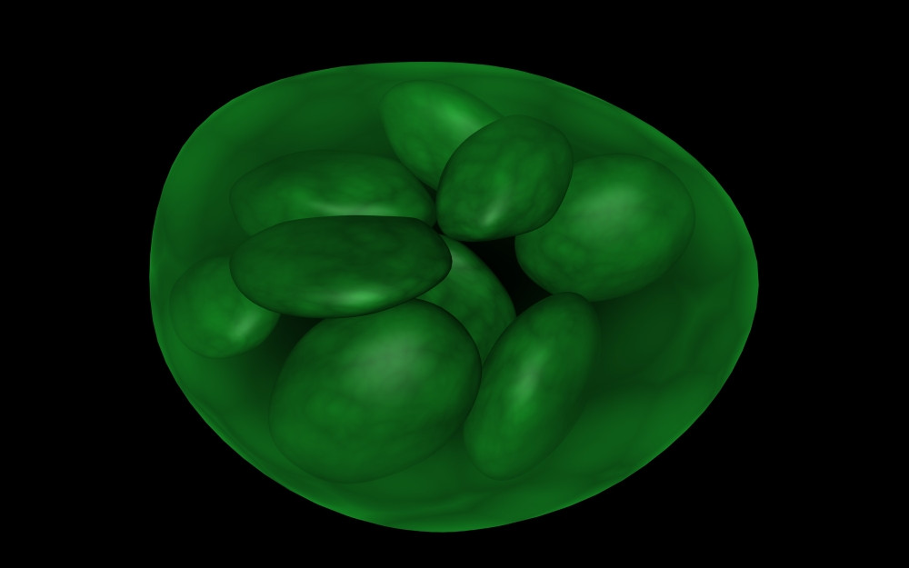 Conceptual image of chloroplast Poster Print - Item # VARPSTSTK700649H ...