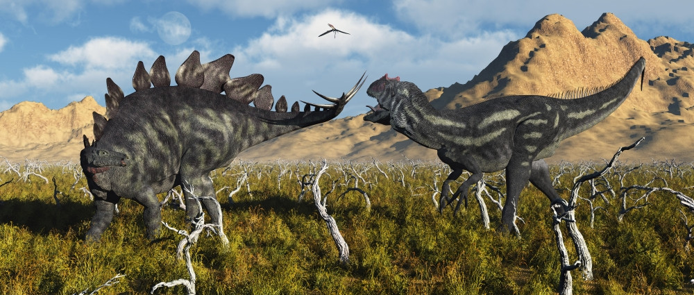 An armor plated Stegosaurus defending itself from an attacking ...