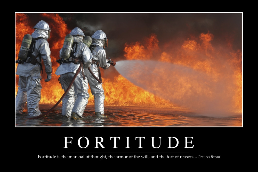 Fortitude - Inspirational Quote and Motivational Poster. It reads ...