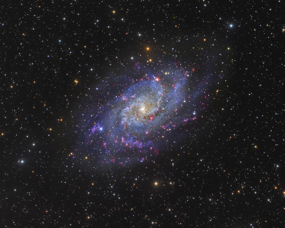 The Triangulum Galaxy in the constellation Triangulum Poster Print ...