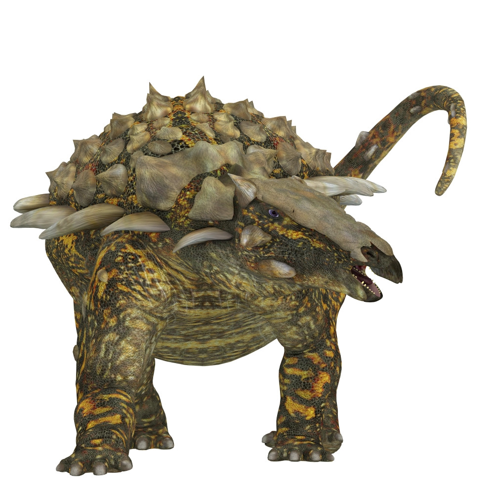Front view of a Gargoyleosaurus dinosaur. Gargoyleosaurus was an ...