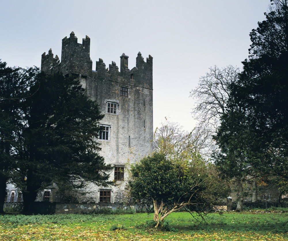 Castle Matrix, Co Limerick, Ireland PosterPrint - Item # VARDPI1803065 ...