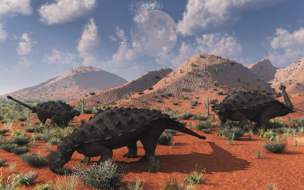 A group of Pinacosaurus dinosaurs grazing during the Cretaceous period ...