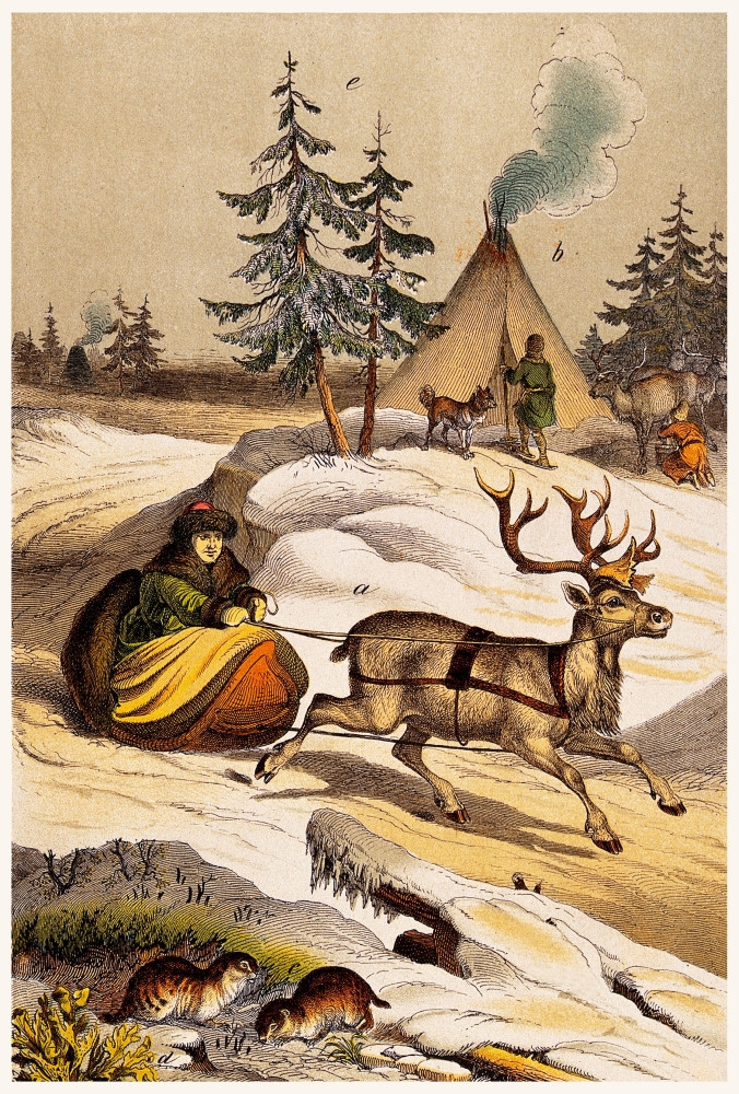 Man Riding Reindeer-Drawn Sleigh Poster Print by Science Source - Item ...