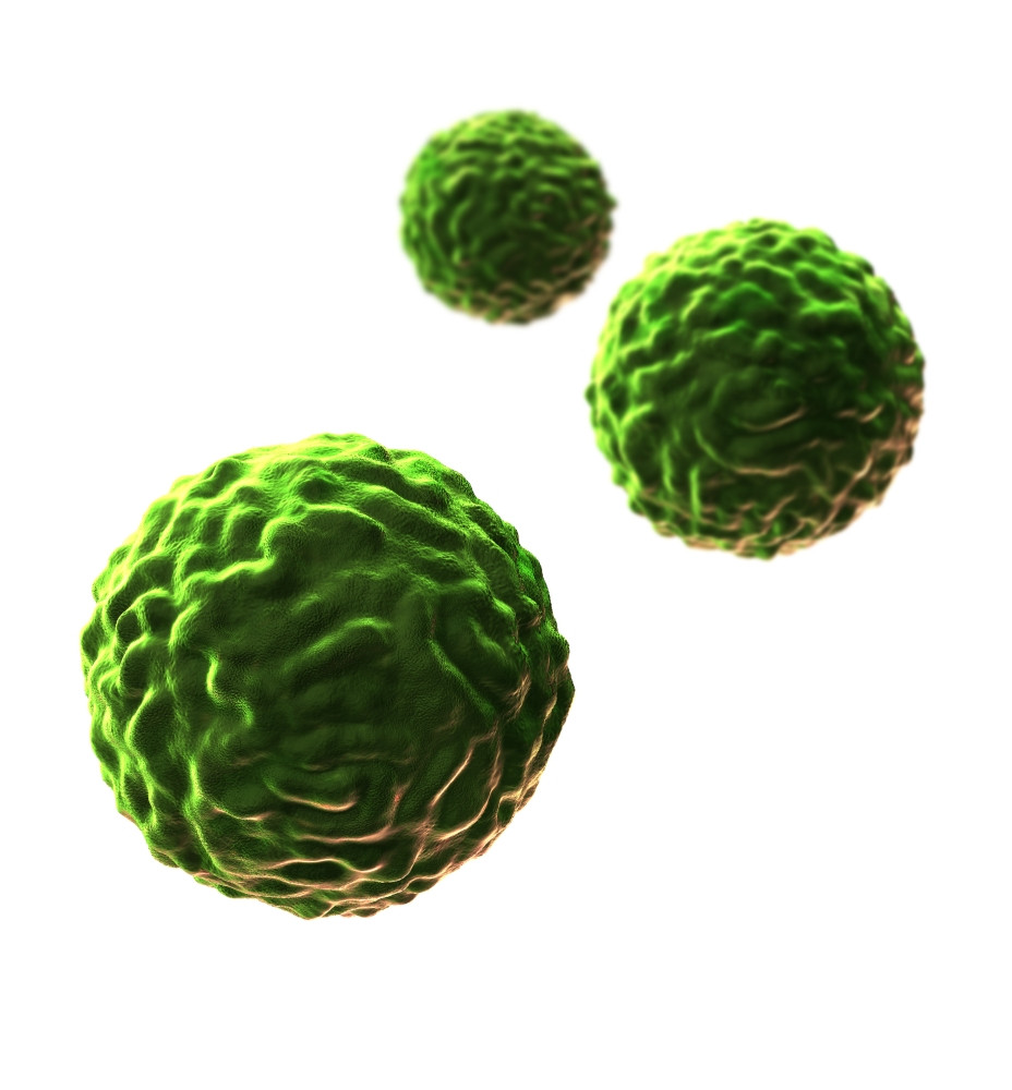 Stem Cells Poster Print by Spencer Sutton/Science Source - Item ...