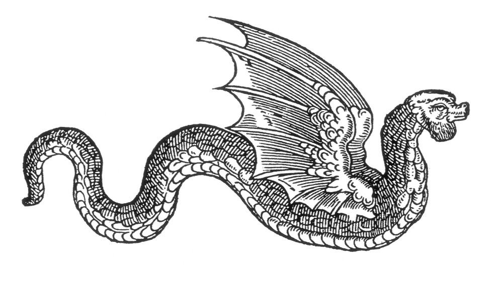 Winged Serpent, Legendary Creature Poster Print by Science Source ...