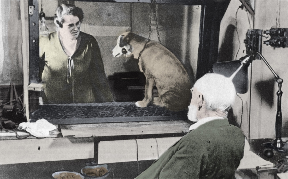 Pavlov and Dog Poster Print by Science Source - Item # VARSCIBJ2331 ...