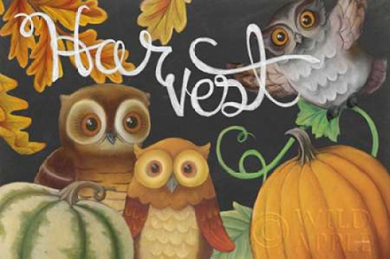 Harvest Owl IV Poster Print by Mary Urban - Item # VARPDX30904HR ...