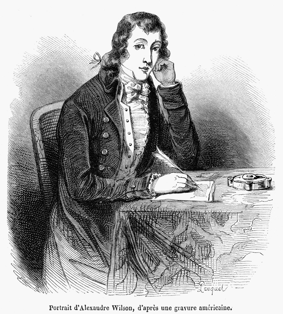 Alexander Wilson (1766-1813). /Namerican (Scottish-Born) Ornithologist ...