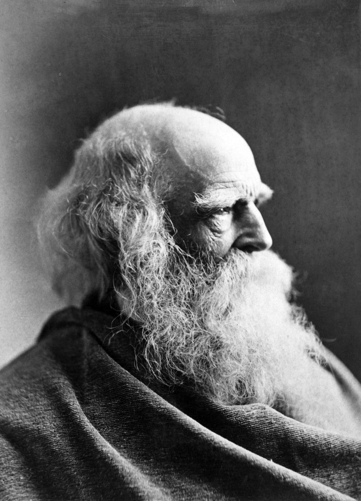 William Cullen Bryant /N(1794-1878). American Poet And Editor. Original ...