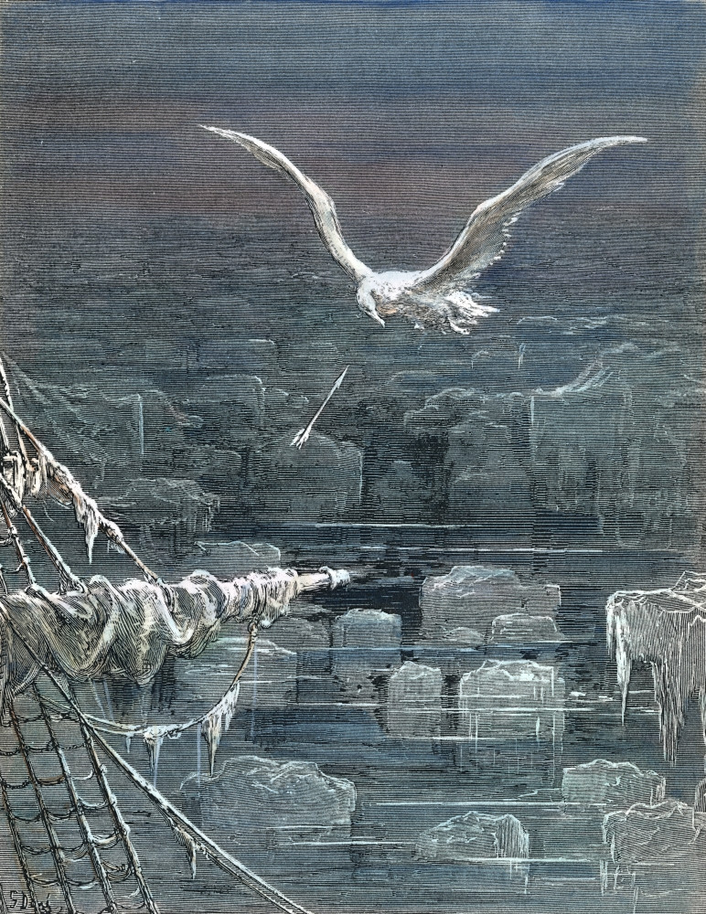 Coleridge: Ancient Mariner, 1870. The Mariner Shoots The Albatross ...