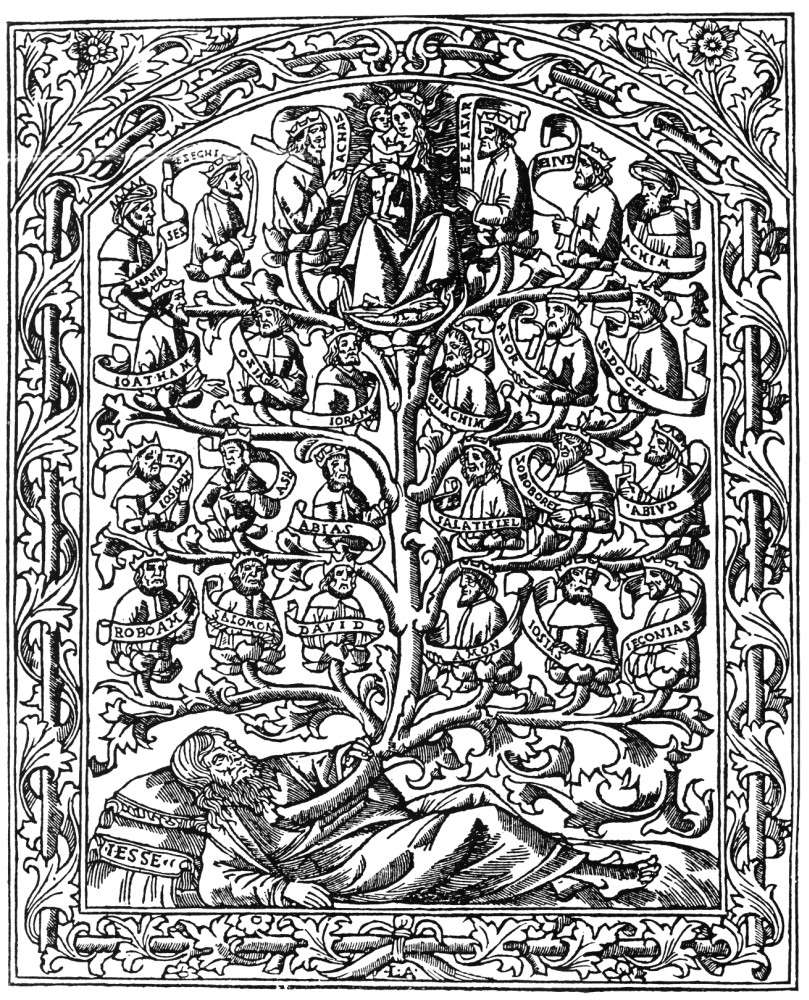 Family Tree, 1506. /Na Jesse Tree, Showing The Ancestors Of Christ ...