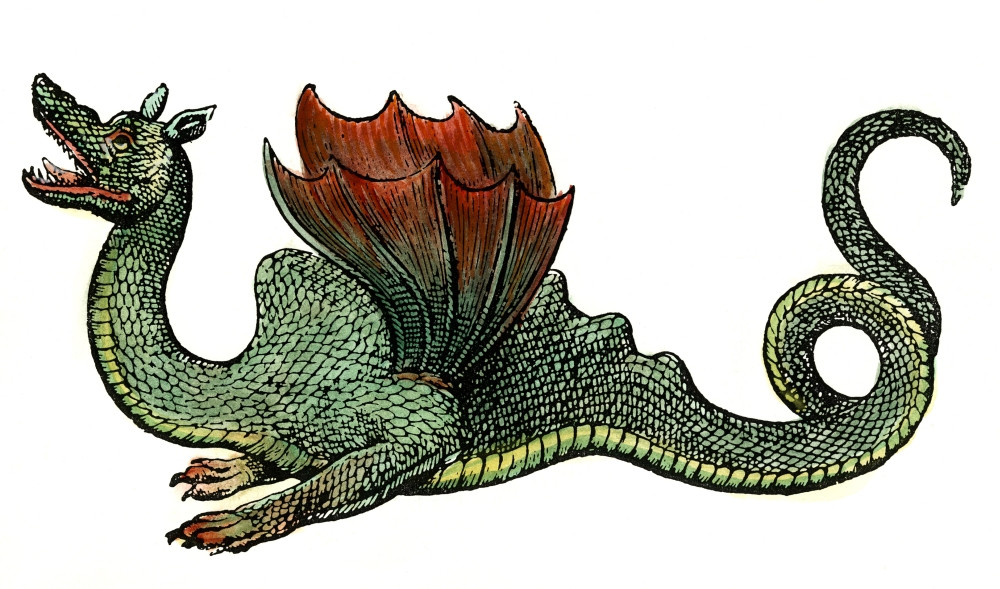 Dragon, 1640. /Ndraco Aethiopicus. Engraving From Ulisse Aldrovandi'S ...