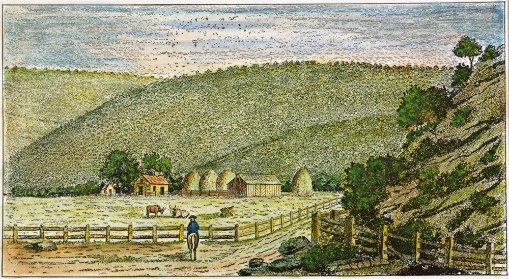 Connecticut: Farm, 18Th C. /Ncattle In The Pasture Of A Connecticut ...