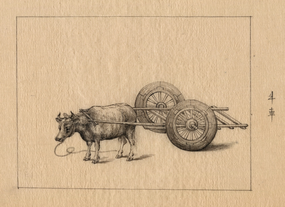 Japan: Oxcart. /Njapanese Ox-Drawn Two-Wheeled Cart. Pen And Ink ...