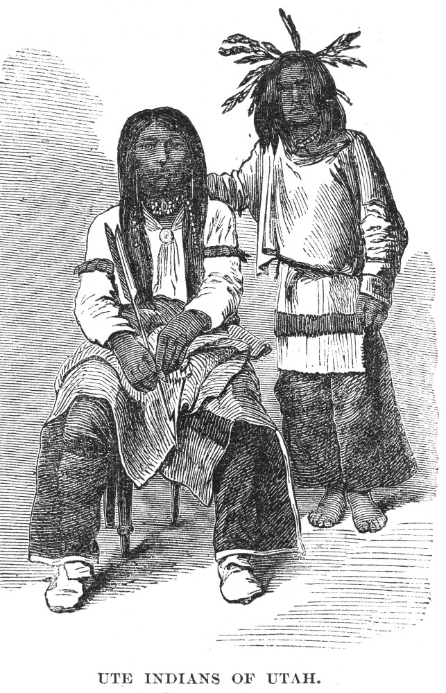 Ute Native Americans, 1867. /Nwood Engraving, American, 1867. Poster ...