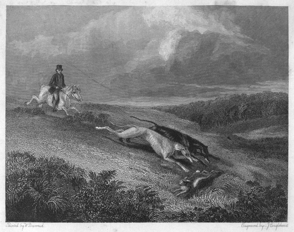 England: Coursing, 1833. /Nrabbit Hunting In England. Line Engraving ...