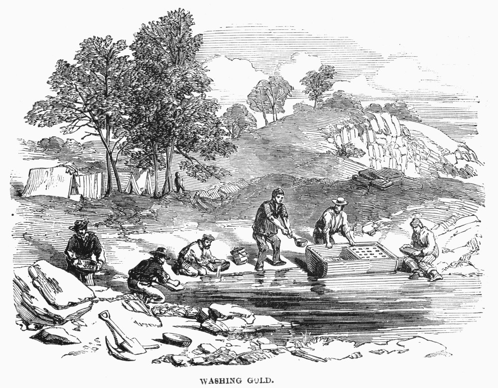 Australian Gold Rush, 1852. /Nminers Washing Gold In The Port Phillip ...