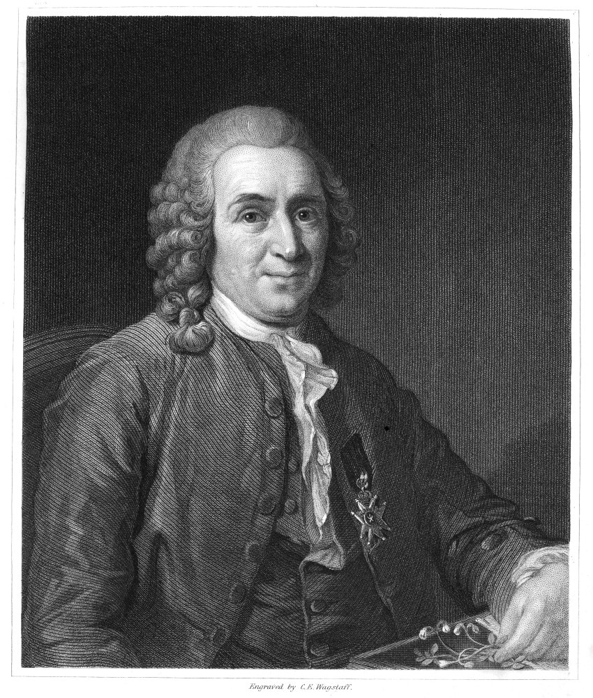 Carolus Linnaeus (1707-1778). /Nswedish Physician And Botanist. Line ...